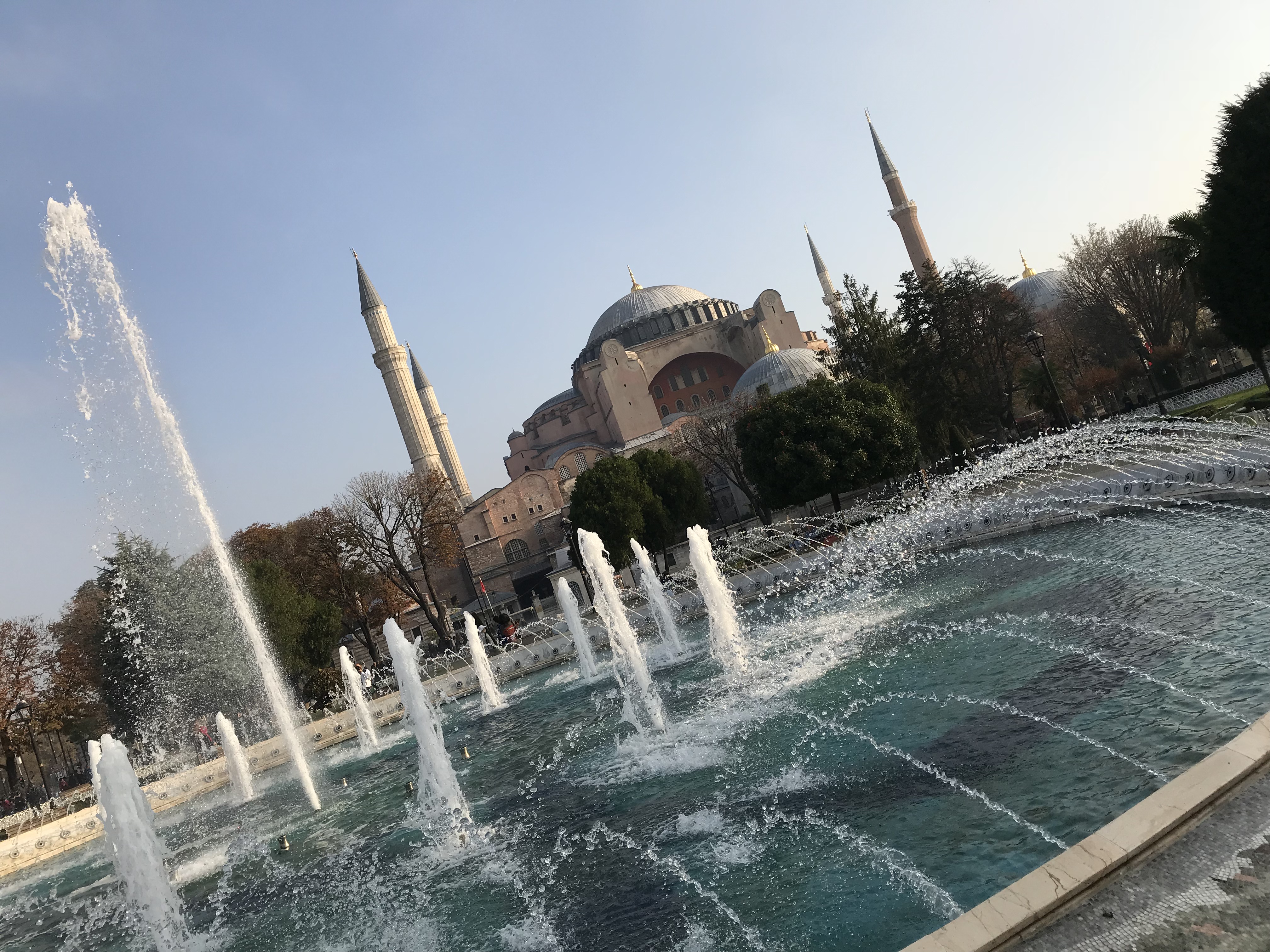 A step backward for Sophia – GNASHING.